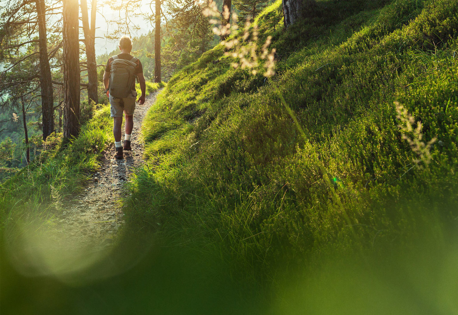 Paljakka | Matkailukeskus keskellä Suomea | Lomailuun ympäri vuoden.