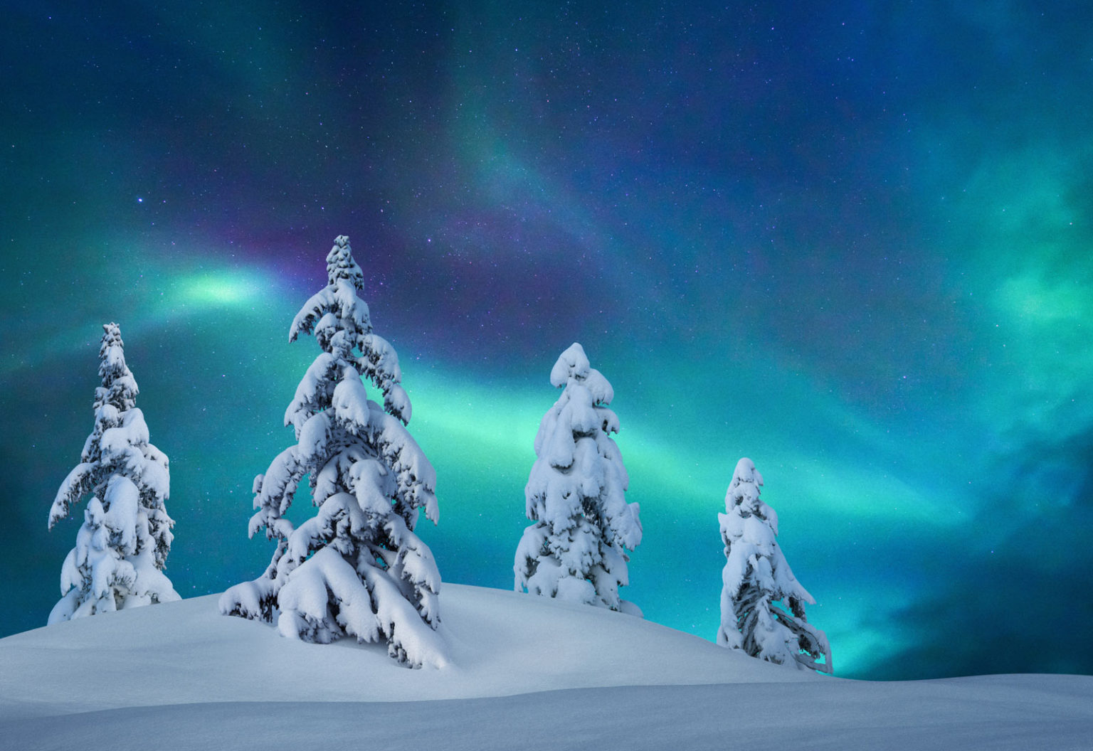 Paljakka | Matkailukeskus keskellä Suomea | Lomailuun ympäri vuoden.